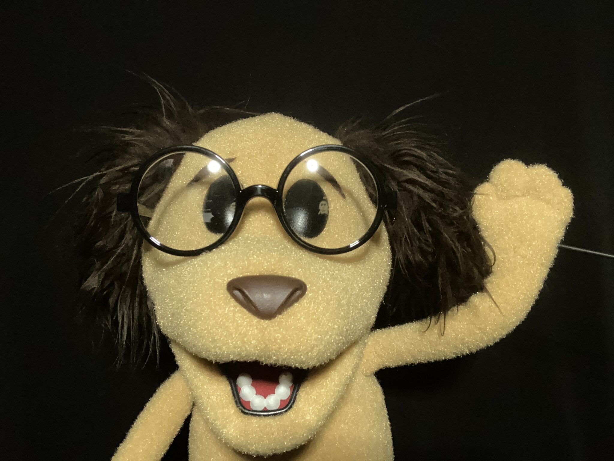 Build Your Best Beast Using the Dragon Pattern - Puppet Patterns ...